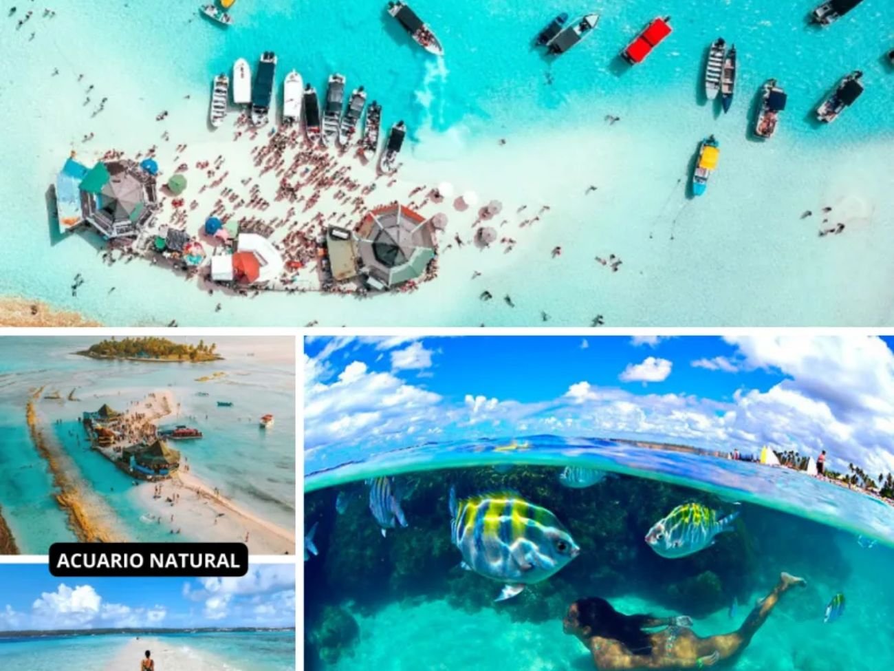 Acuario Natural y Haynes Cay en San Andrés - Descubre Colombia con ...