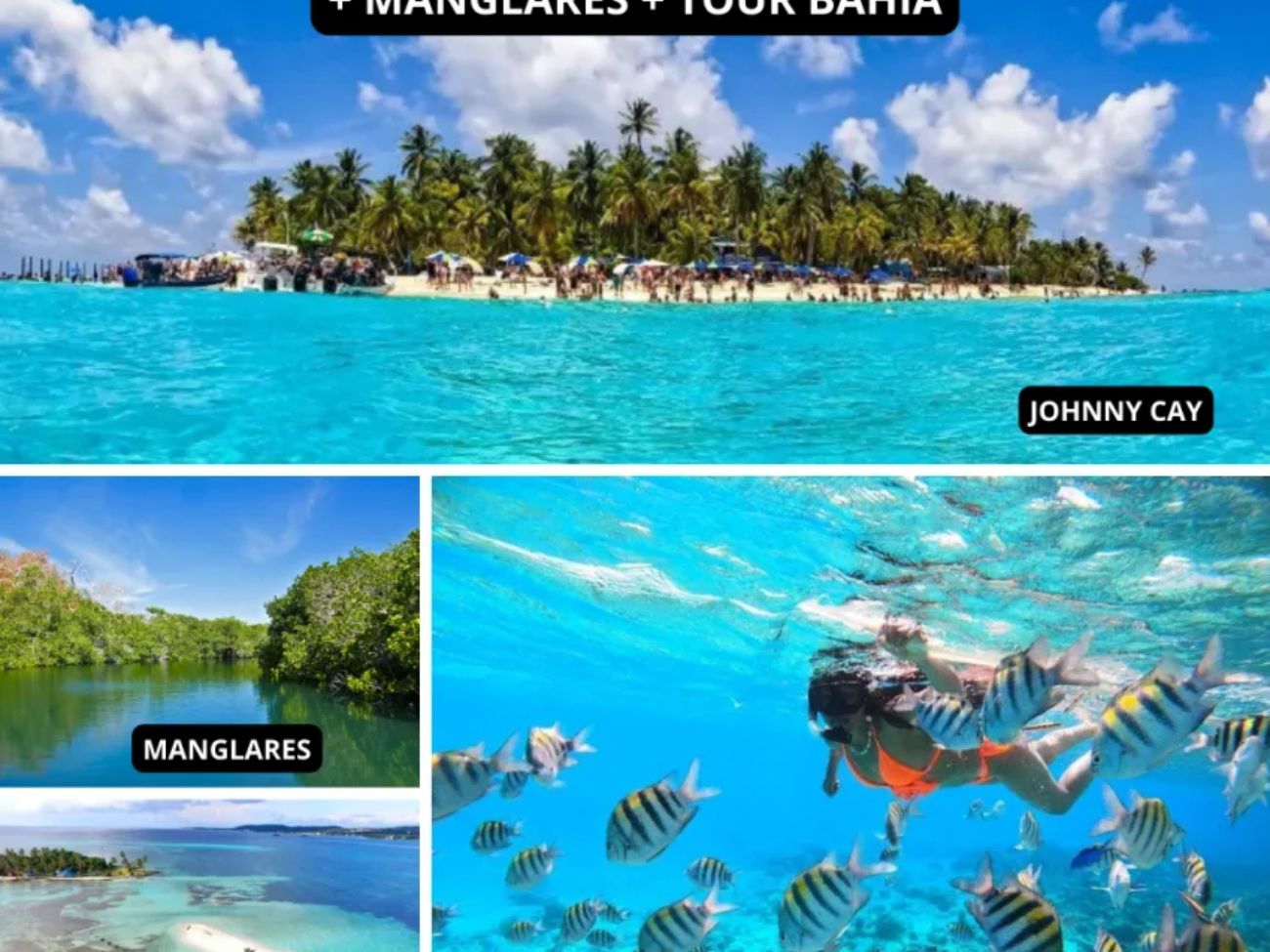 Tour VIP a Acuario, Haynes Cay, Johnny Cay, Manglares en San Andrés ...